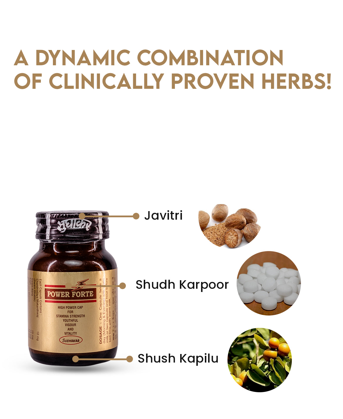 Buy Ayurvedic High Power Capsule for Stamina | Ayurvedic Stamina ...